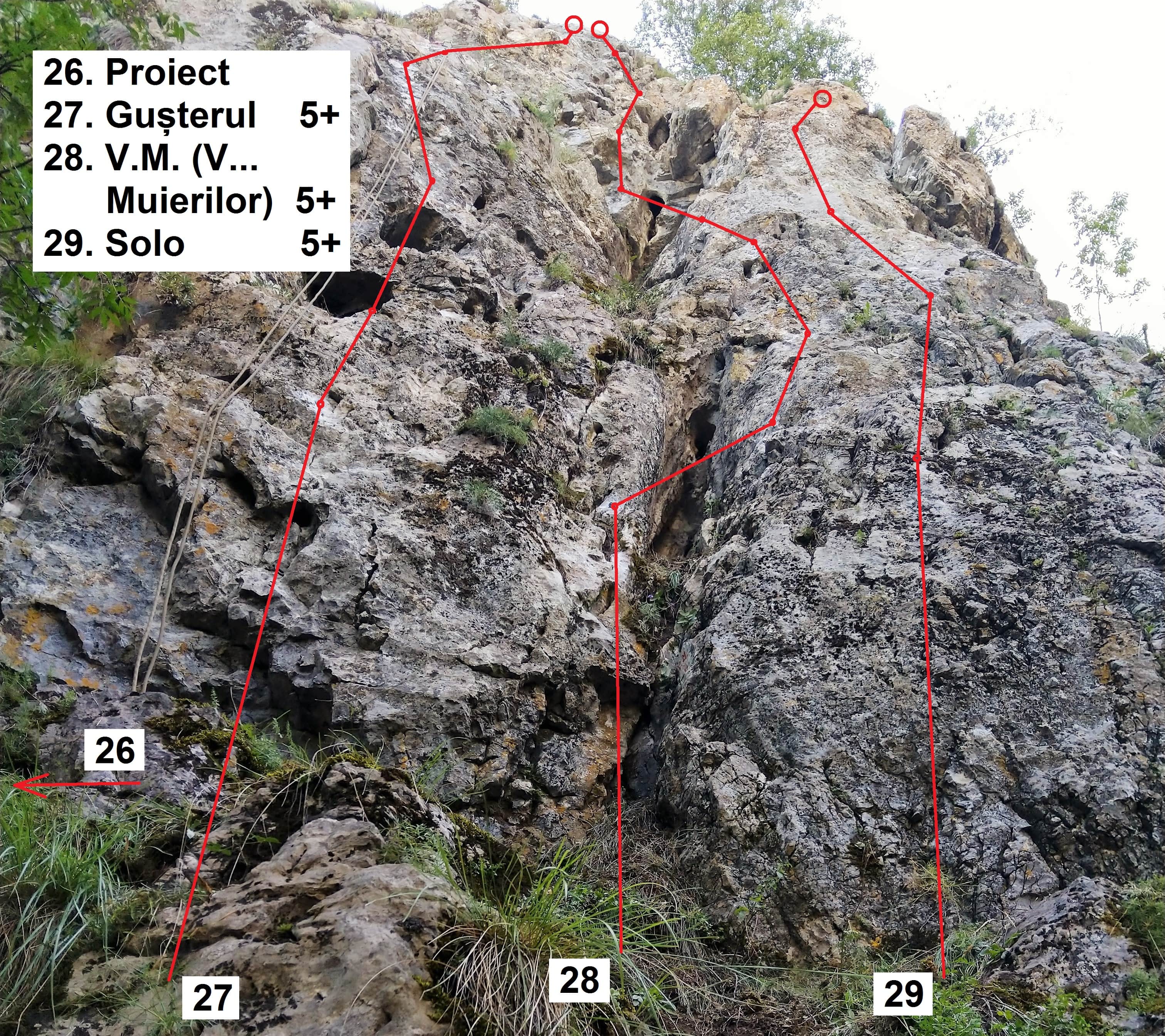Gușterul, Escaladă, 5+, 20 m | ClimbRomania